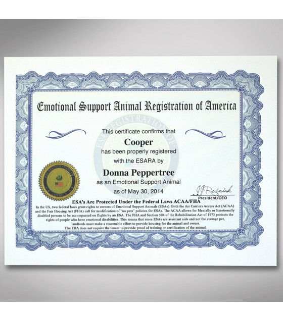 Replacement Certificate Ubicaciondepersonas cdmx gob mx
